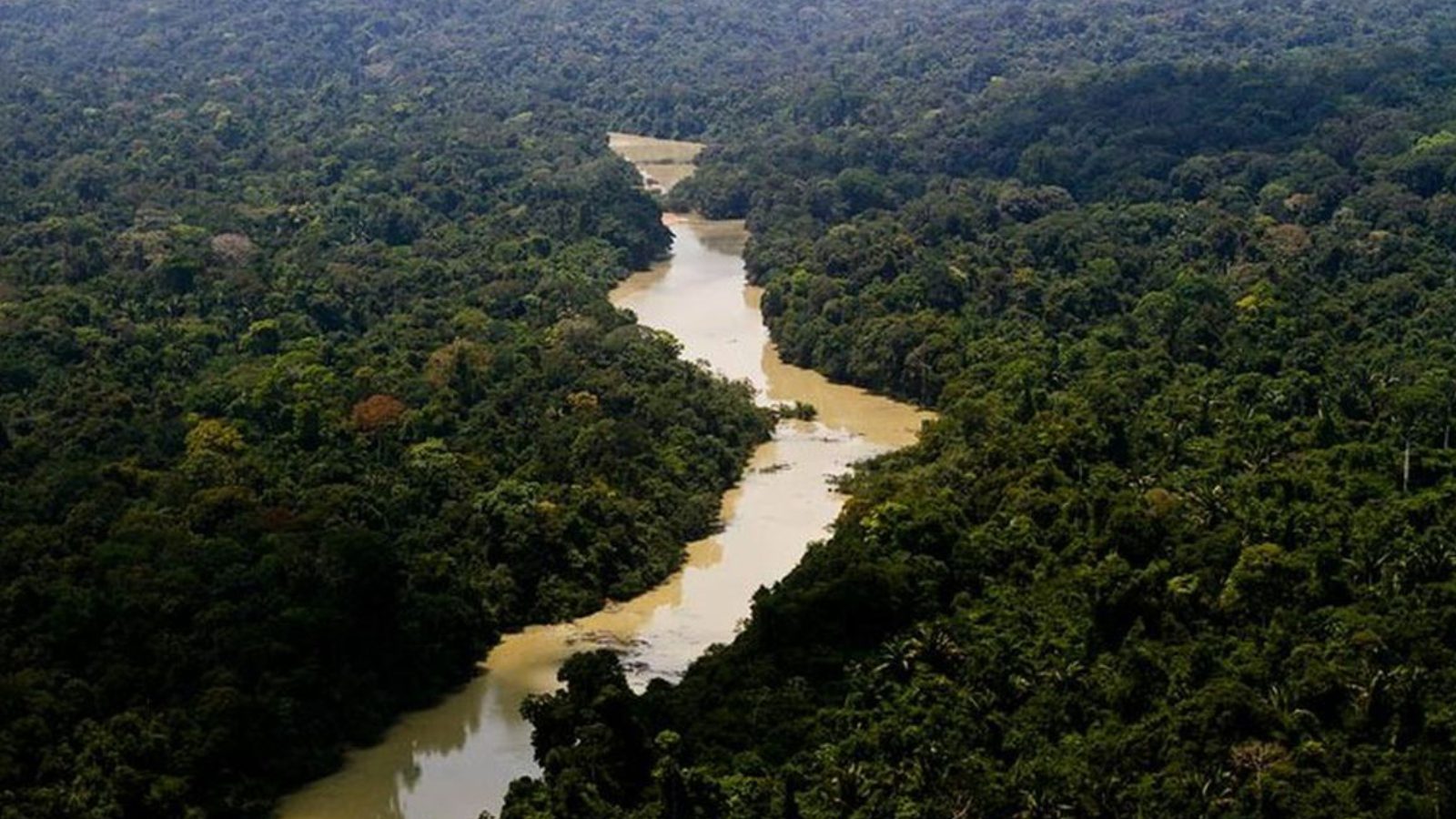 Fundo Amazônia aprova R$ 1 bilhão e bate recorde no 1º semestre